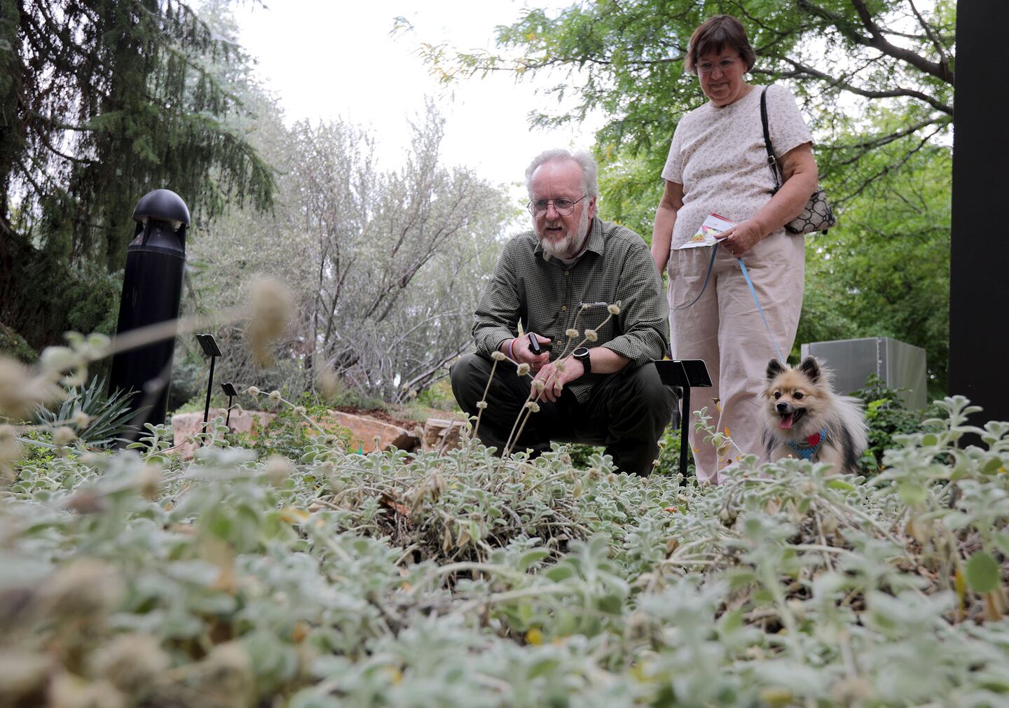 Utah drought 2021: Did Utahns actually save any water this summer ...