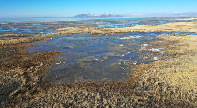 New species found in Great Salt Lake changes what we know about its ...