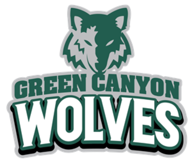 High school volleyball: Green Canyon advances in 4A quarterfinals ...