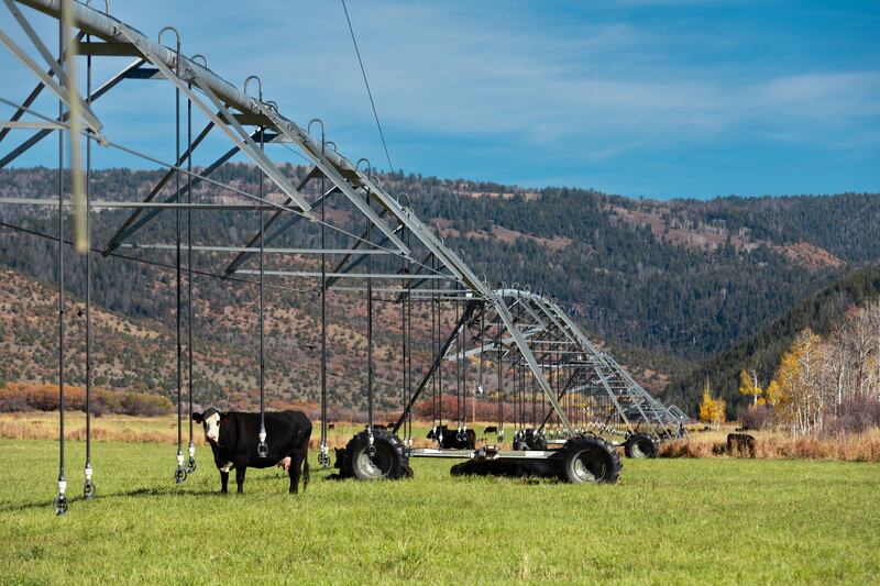 The Great Salt Lake and Utah farms could save each other. Here’s how ...