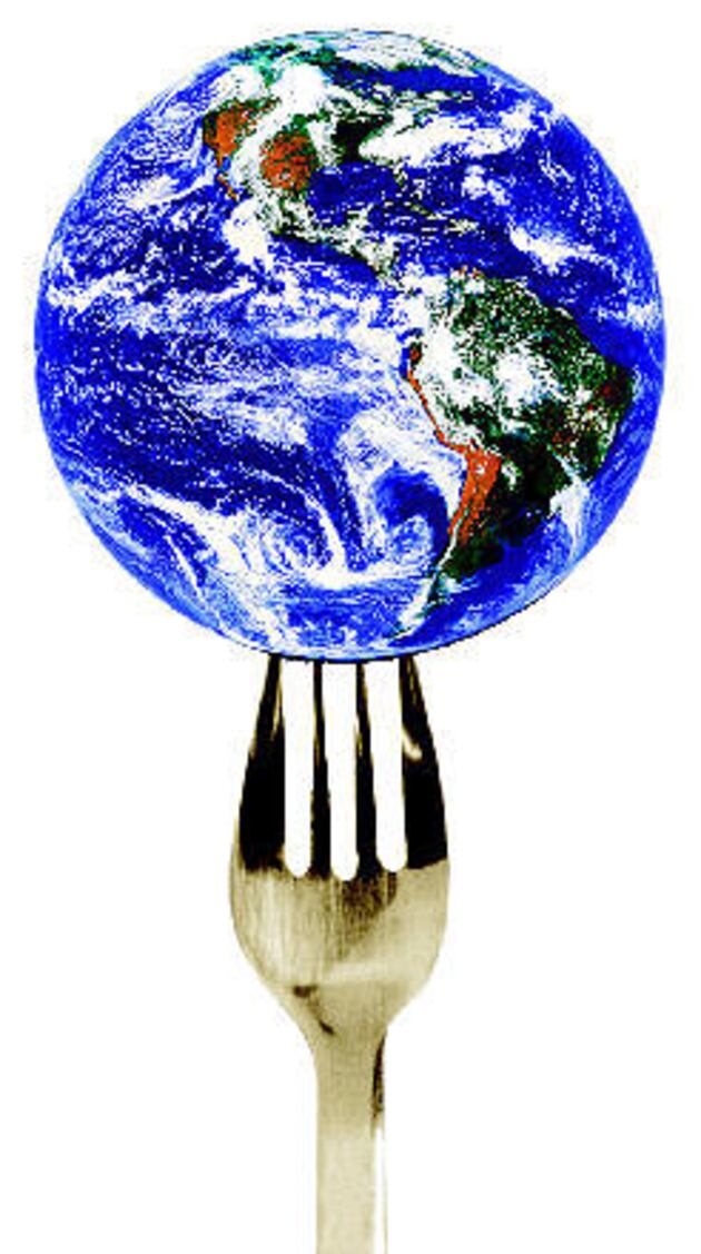 Missionary food stories: Called and served – Deseret News