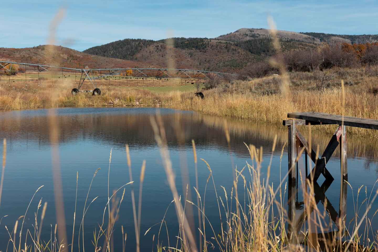 The Great Salt Lake and Utah farms could save each other. Here’s how ...