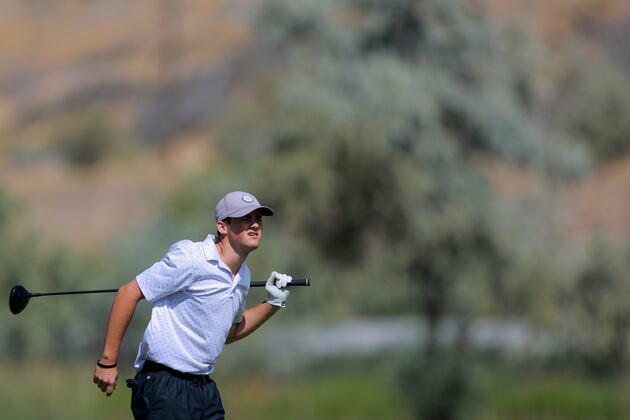 High school boys golf: Week 4 region recap from Regions 4, 5, 6, 7, 8 ...