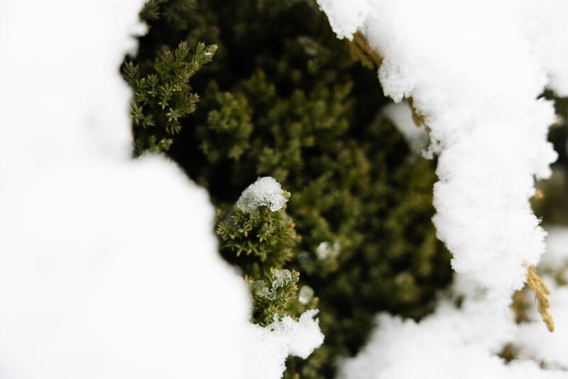 Best winter in Utah history? Latest storm breaks snowpack record ...