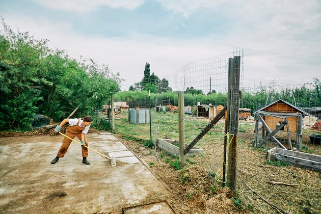Celebrities who own farms: Why is farming becoming trendy? – Deseret News