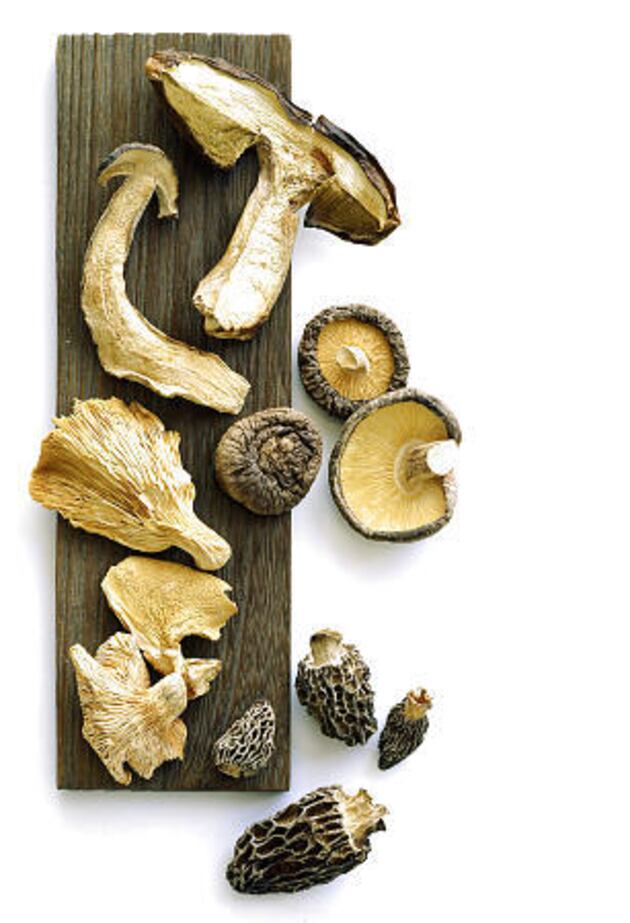 Martha Stewart: Wet spills on sisal rugs can be cleaned – Deseret News