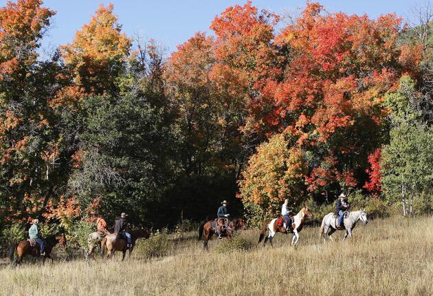 Photos: First signs of fall in Summit County – Deseret News